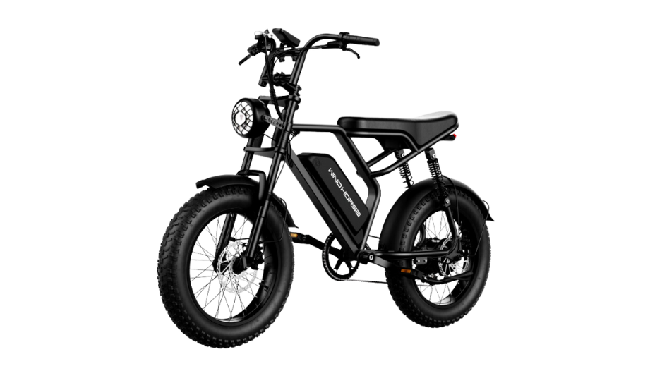 Wind Horse V8 Pro Electric Bike – xzactor
